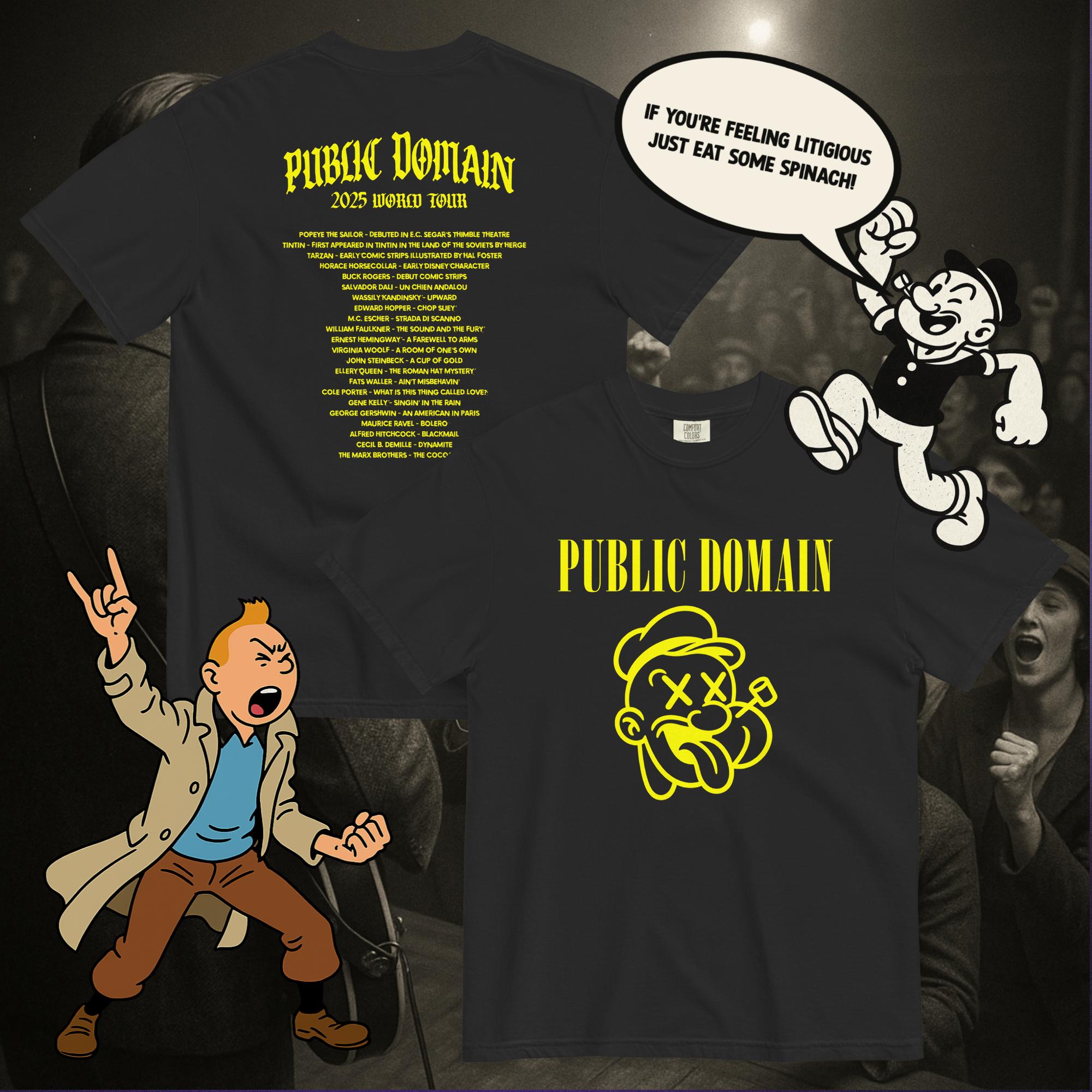 Public Domain 2025 World Tour – Lint Projects